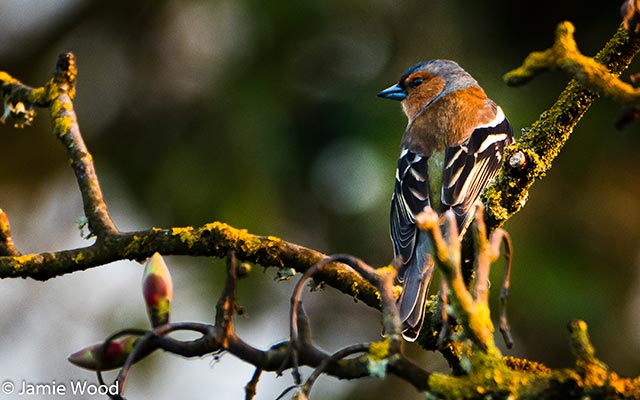 Environmental Feasibility Studies | JKW